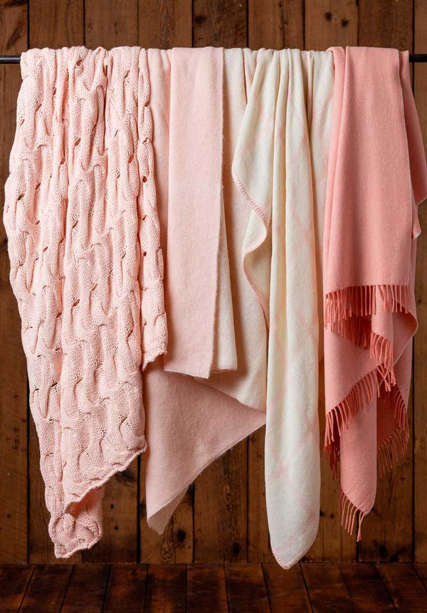 alicia adams alpaca
